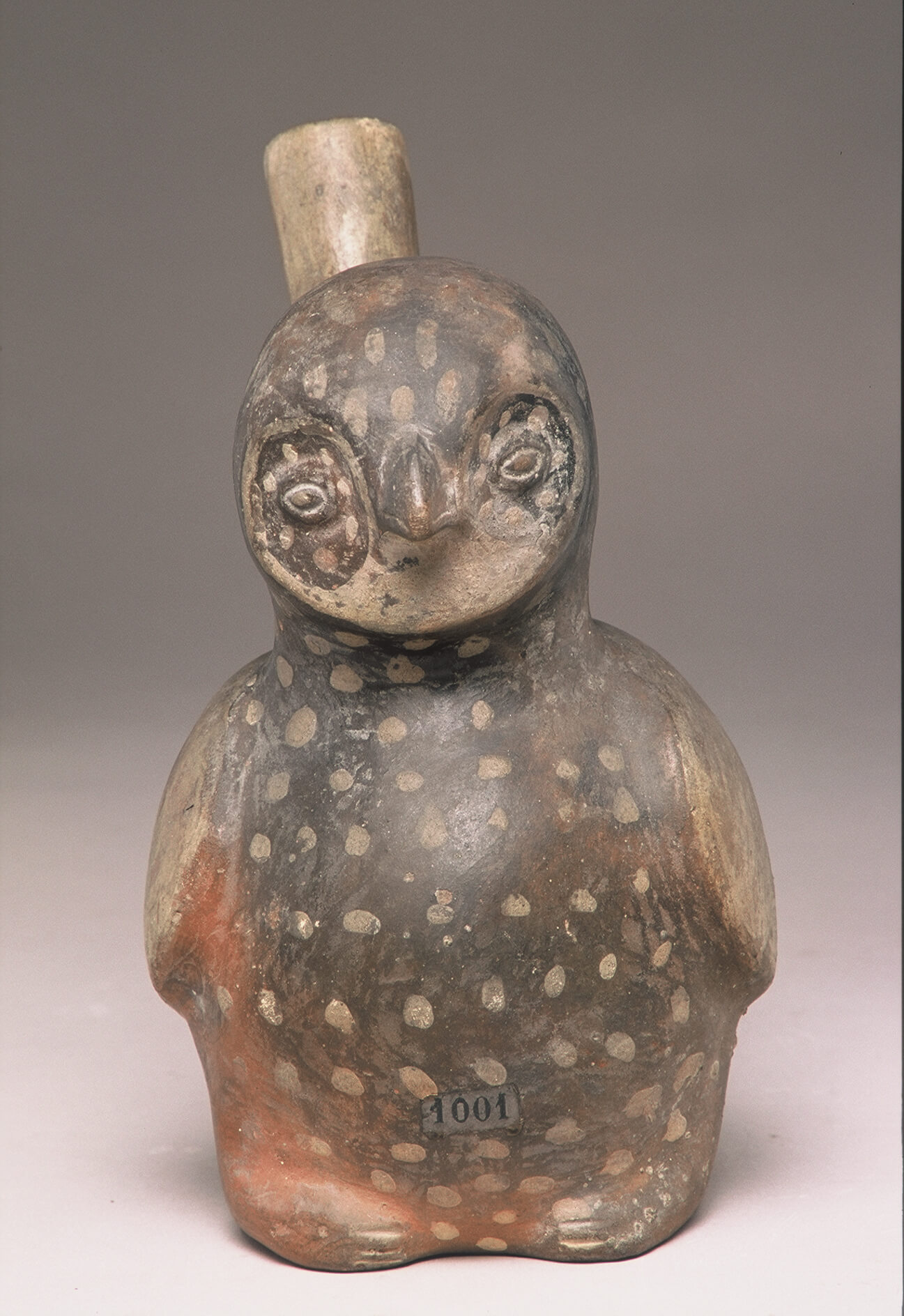 Collections - Musée de Boulogne-sur-Mer